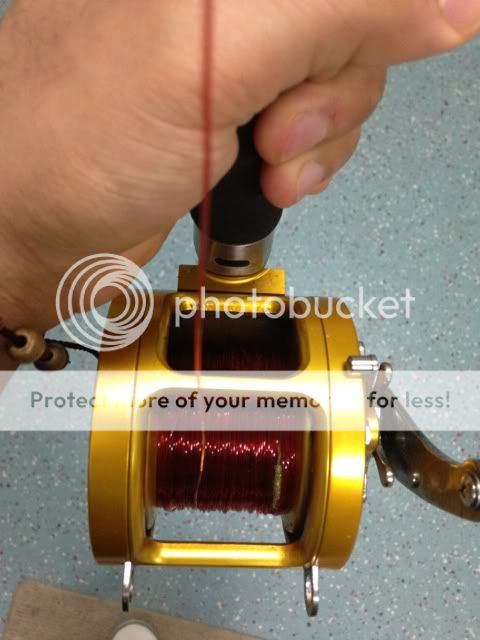 upgraded penn senator 4/0 | Bloodydecks